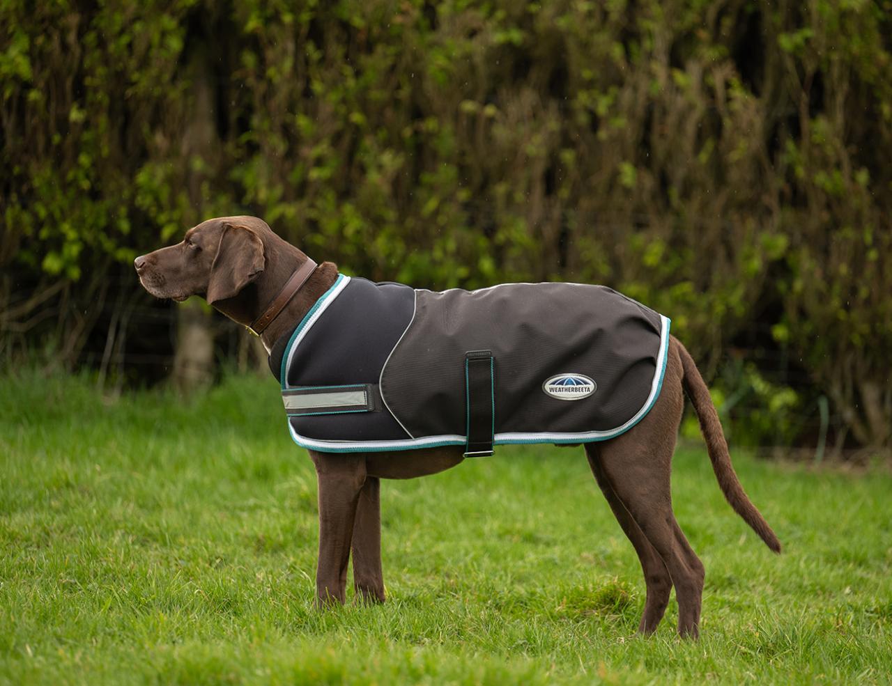 WEATHERBEETA COMFITEC PARKA 1800D DOG COAT MEDIUM/LITE | Weatherbeeta - New Zealand